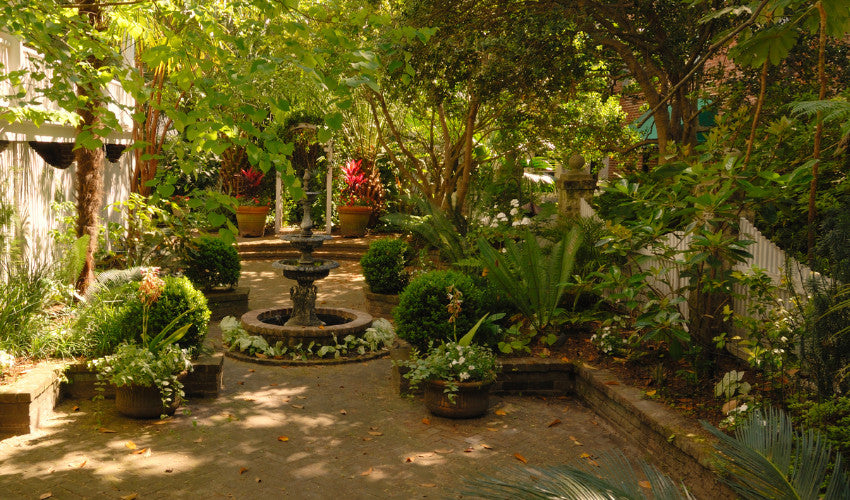 Creating a Tranquil Oasis: A Guide to Planning Your Shade Garden with