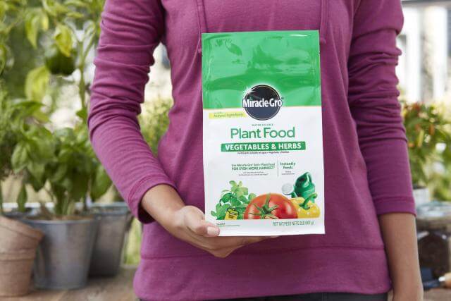 Miracle-Gro® Water Soluble Plant Food Vegetables and Herbs (2 lbs ...