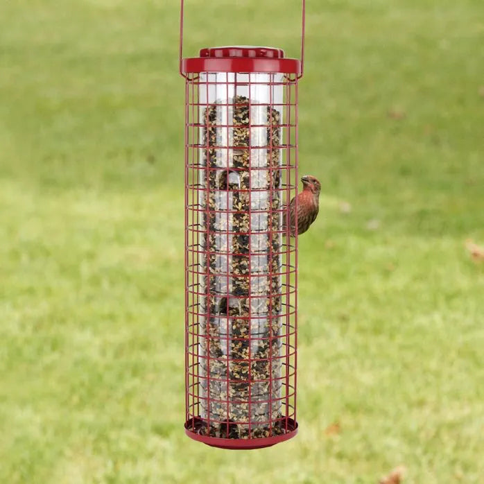 Woodstream Perky-Pet® Easy Feeder - Westerly, RI - Westerly Agway