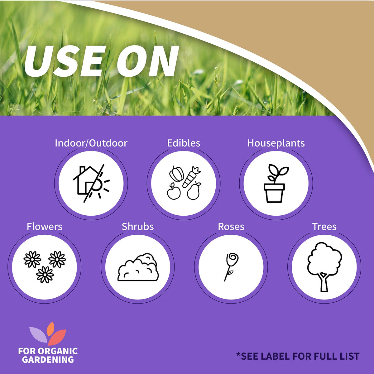 Bonide Captain Jack's Rose Rx 4-in-1 Ready-To-Use Fungicide ...