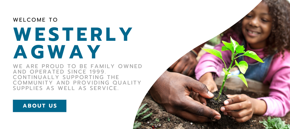 Garden Center - Westerly, RI | Westerly Agway