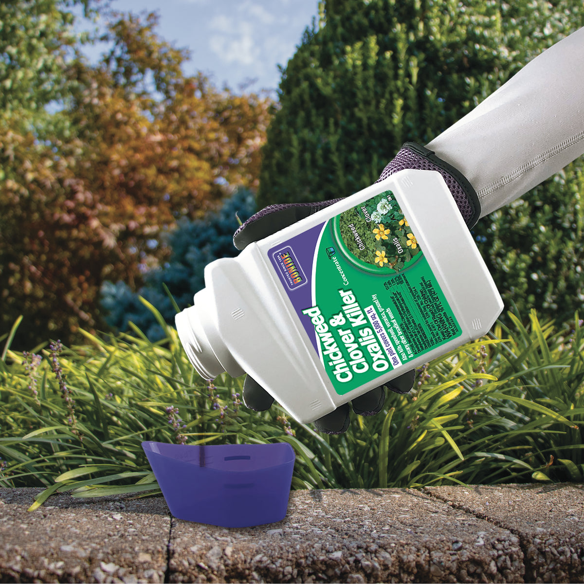 Bonide Chickweed, Clover & Oxalis Killer Concentrate - Westerly, RI ...