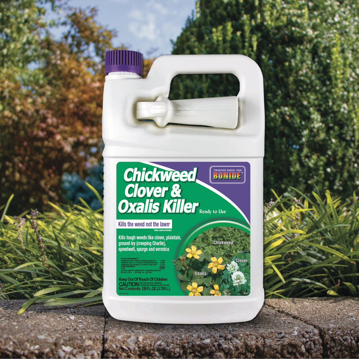Bonide Chickweed, Clover & Oxalis Killer Ready-to-Use - Westerly, RI ...